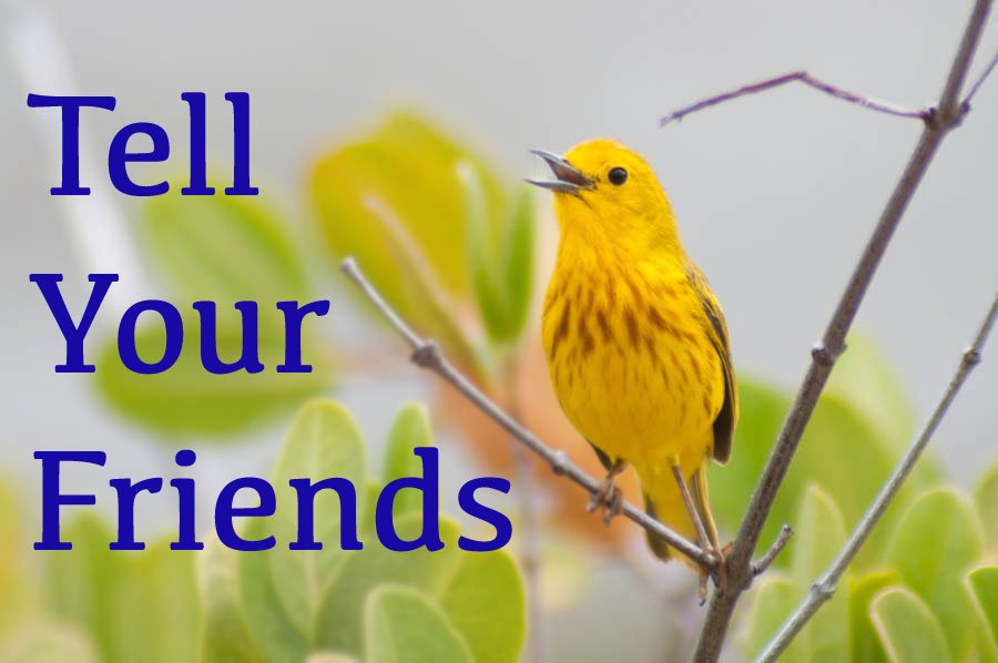 Book Launch Tell Your Friends Wildlife Of St Martin book-launch-tell-your-friends-wildlife-of-st-martin